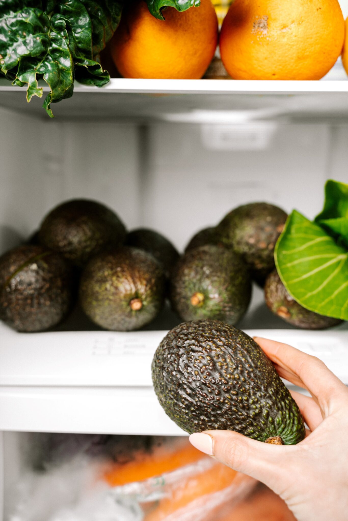 5 tips to make the most of your avocado - New Zealand Avocado